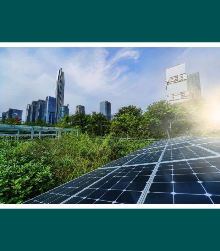 Four Steps to Reduce Your Scope 1 Emissions - Optera