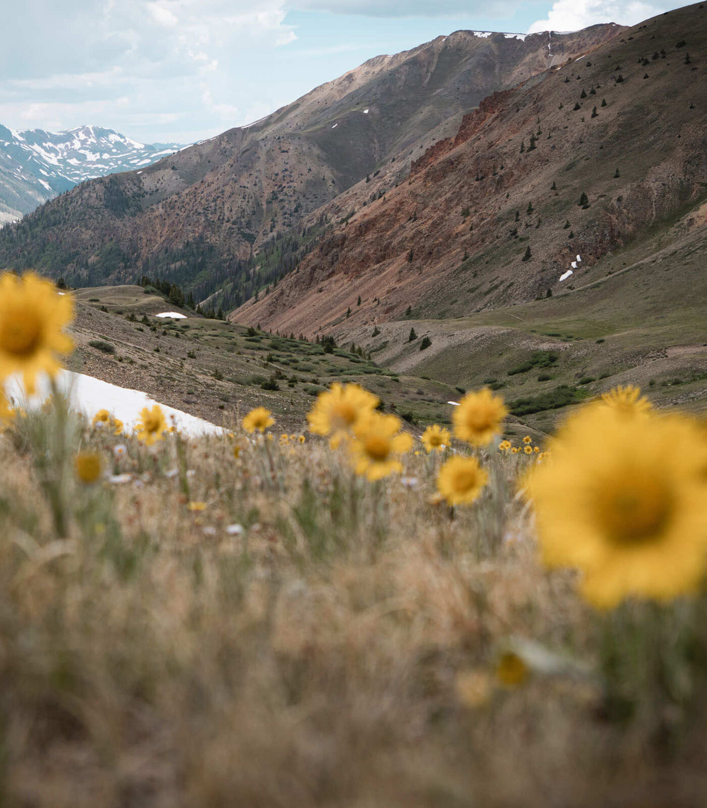 In Action | Optera - Climate Software Case Studies