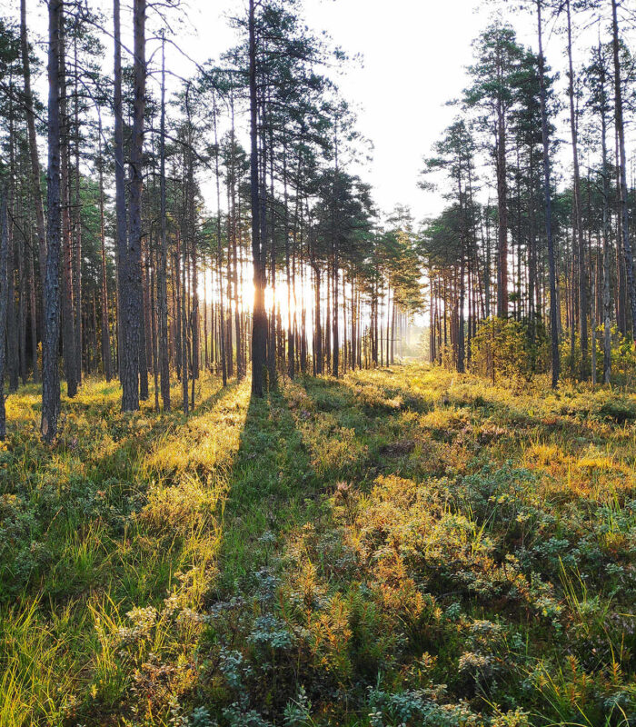 In Action | Optera - Climate Software Case Studies