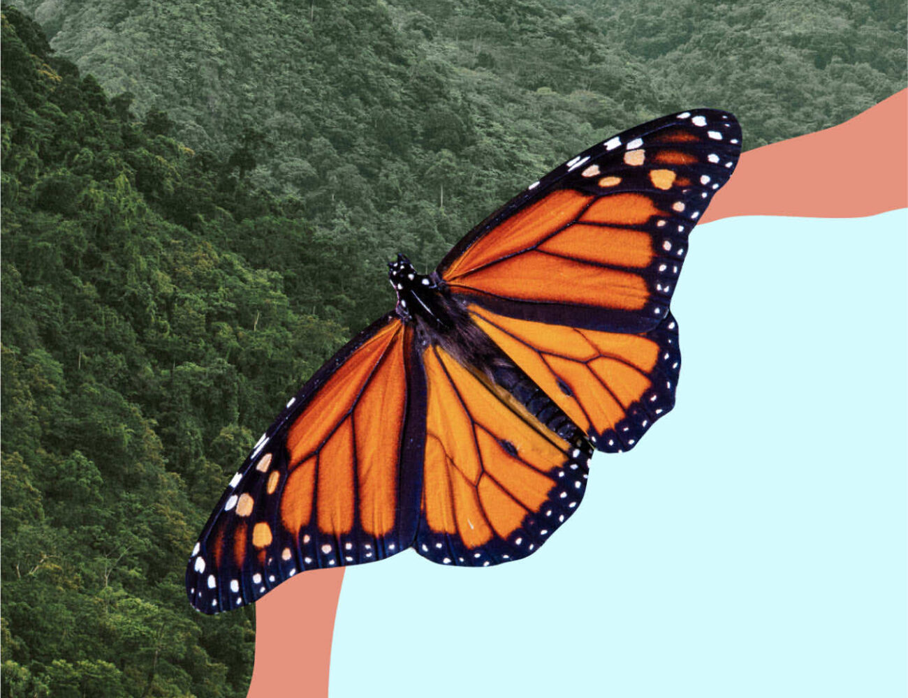 The Latest | Optera - Carbon Mitigation Insight